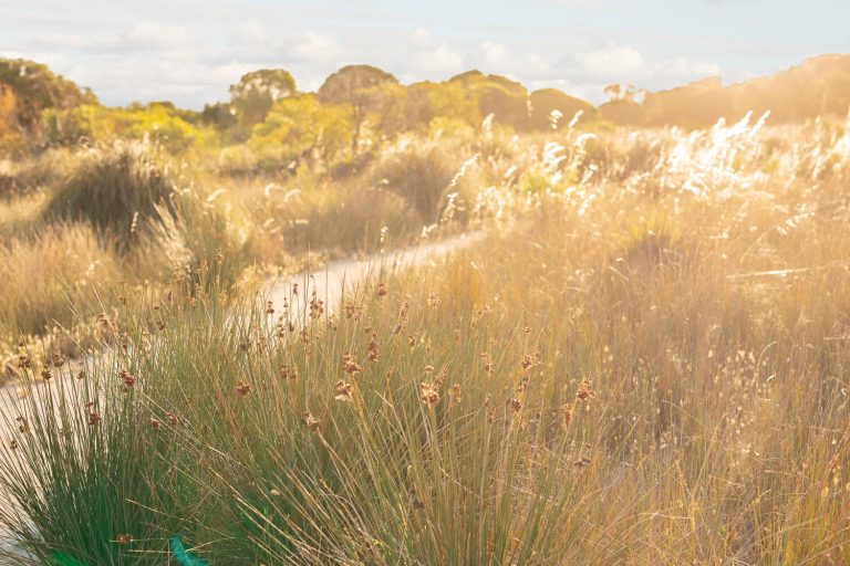 Sound Psychological Health Services - You're Not Alone